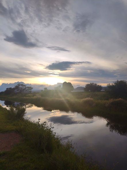 Rivers of MexicoNaturalRivers of MexicoArtistsRivers of ...