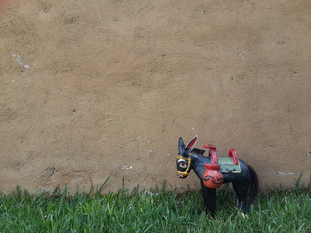 Burrolandia México (Donkeyland Mexico) - All México